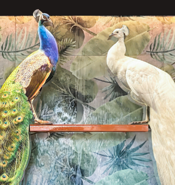 Blog | GRAIMAN Producción de Cerámicas y Porcelanatos